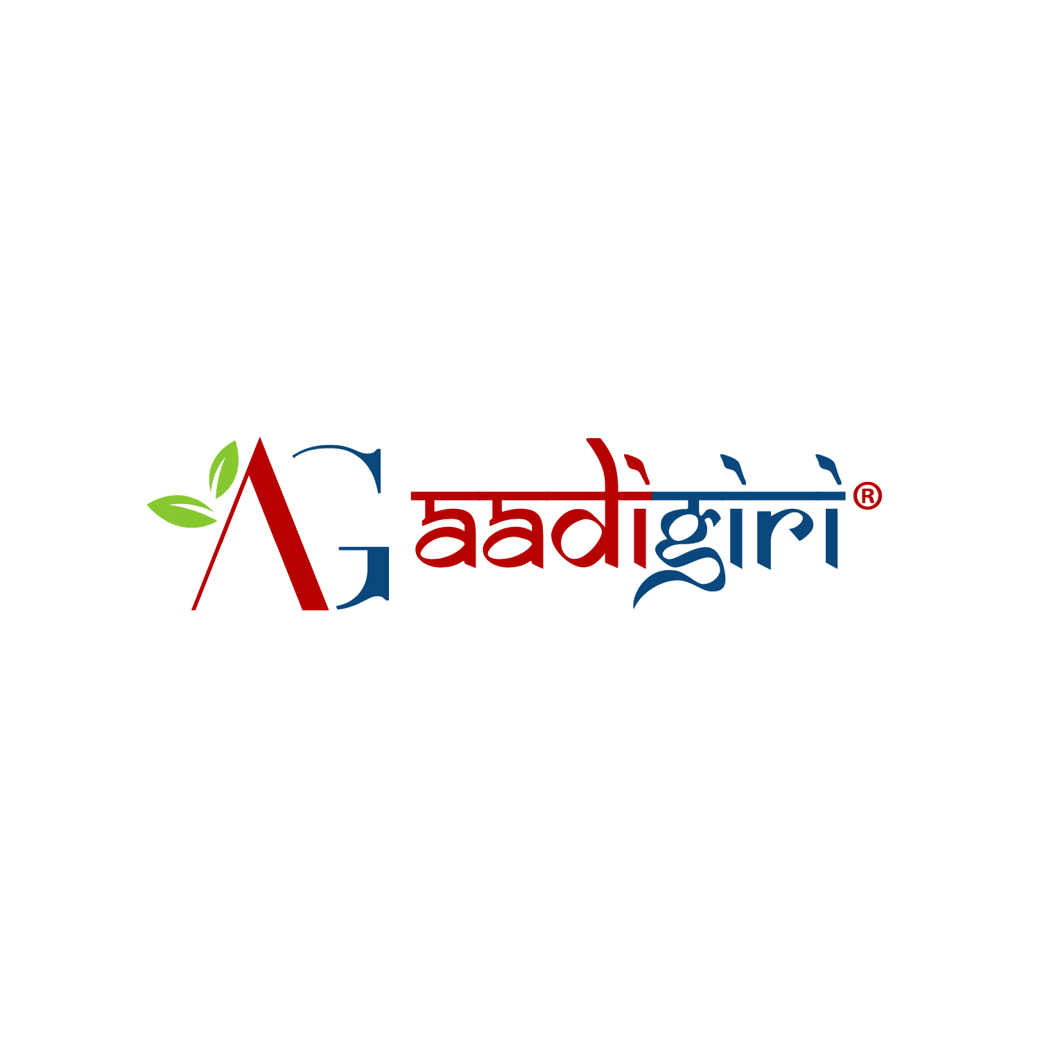 About Aadi Giri Pvt Ltd